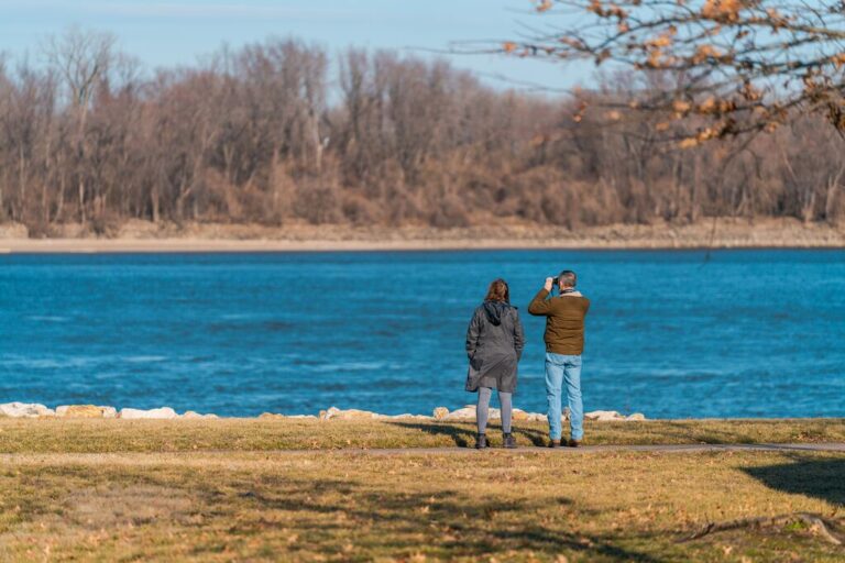 The Ultimate Guide to Eagle Watching in Missouri