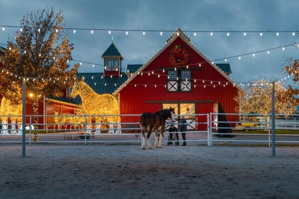 See Warm Springs Ranch: Birthplace of the Budweiser Clydesdales