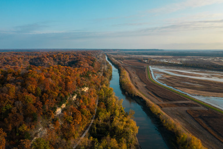 The Ultimate Guide to Eagle Watching in Missouri
