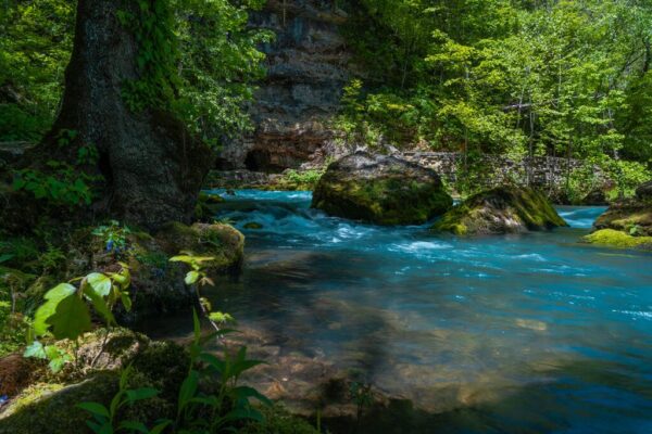 Discover Missouri's Sparkling Freshwater Springs