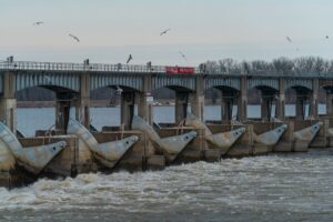 The Ultimate Guide to Eagle Watching in Missouri