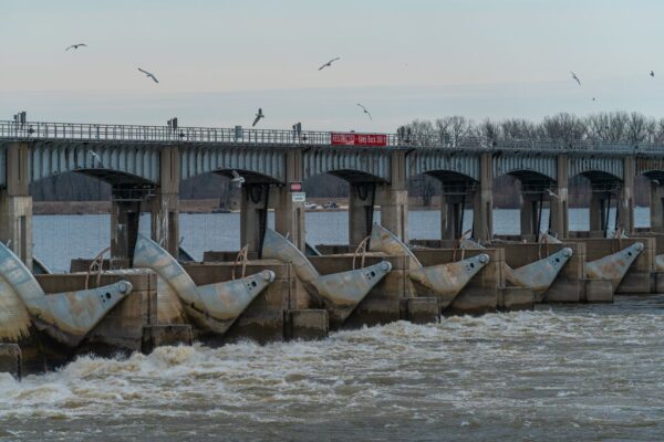 The Ultimate Guide to Eagle Watching in Missouri